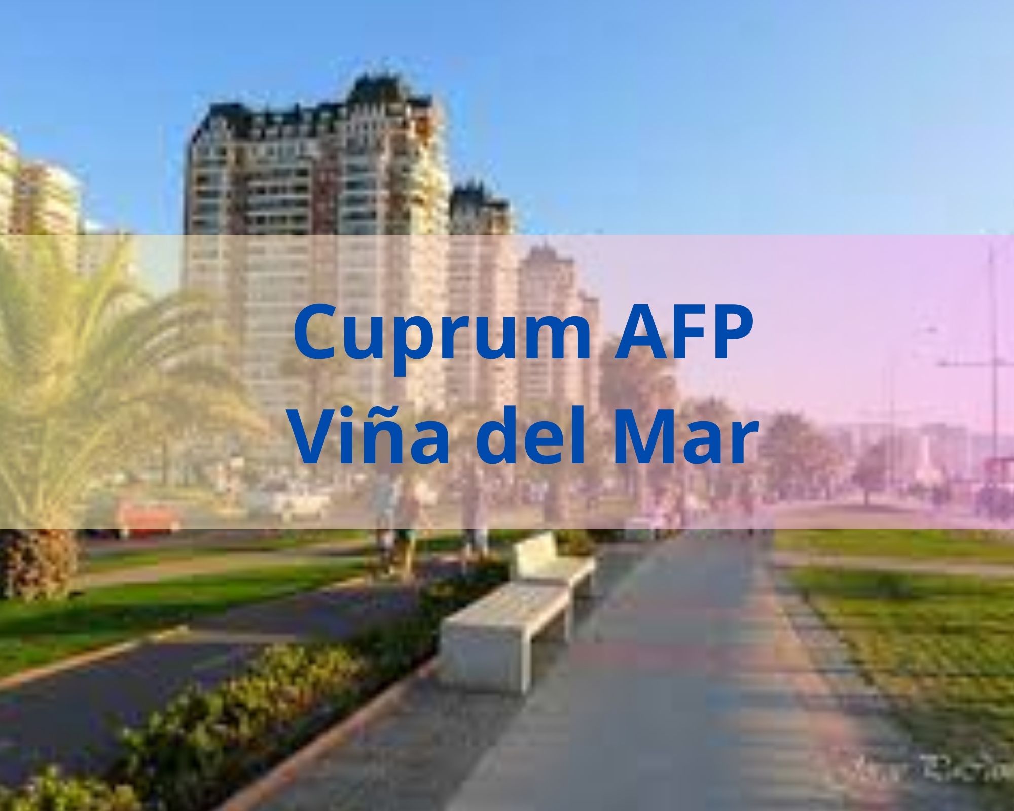 Cuprum AFP《 Sucursales en Viña del Mar 》 2025 ️